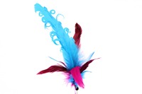 Feather Teasers