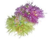 Purr-fection Fringe Benefits Pom Poms