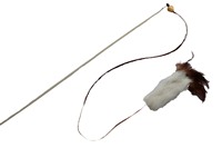 Fur Thing and Feather Teaser | 10-1791