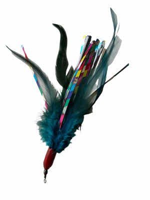 Da Bird and Attachments