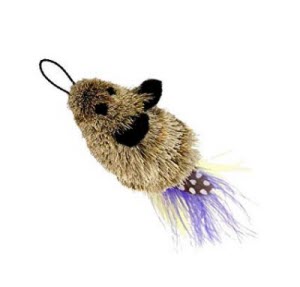 Da Bird and Attachments